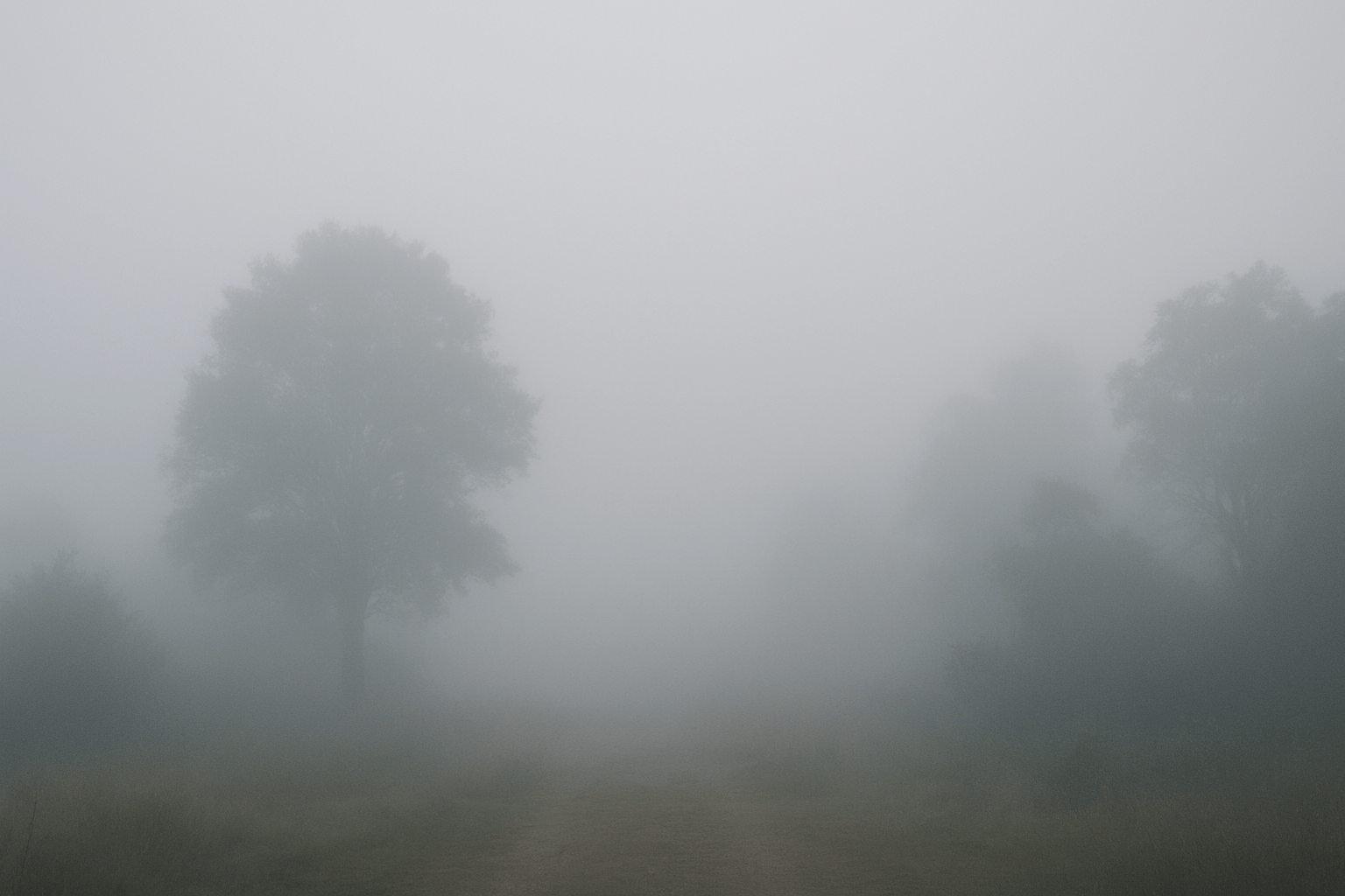 Daily Wordshake: 434